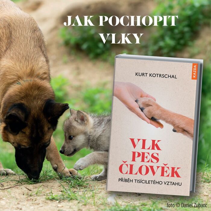 Recenze: Vlk – Pes – Člověk :: Zdenkakudova